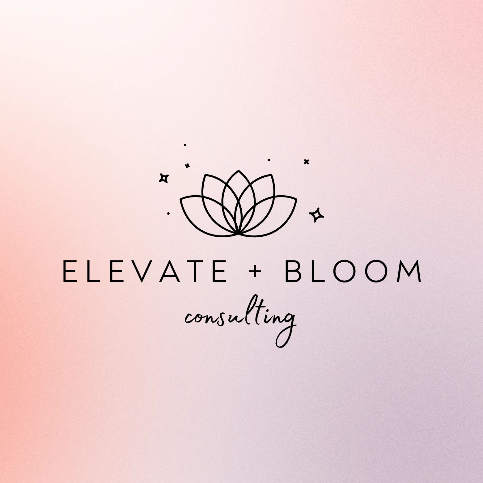 Elevate + Bloom Consulting